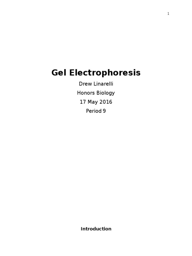 Gel Electrophoresis Lab Report | PDF | Gel Electrophoresis | Agarose ...