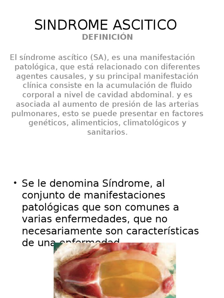 Sindrome Ascitico | PDF | Edema | Pulmón