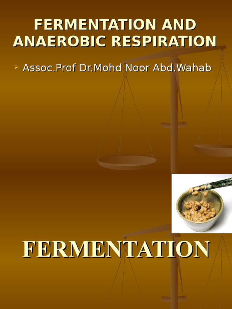 Anaerobic Fermentation | PDF | Fermentation | Cellular Respiration