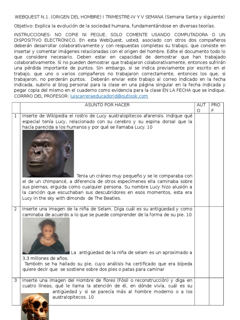 Webquest N.1 It Civ. | PDF | Homo Sapiens | Naturaleza