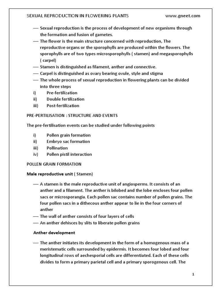 Sexual Reproduction in Flowering Plants | PDF | Seed | Pollen