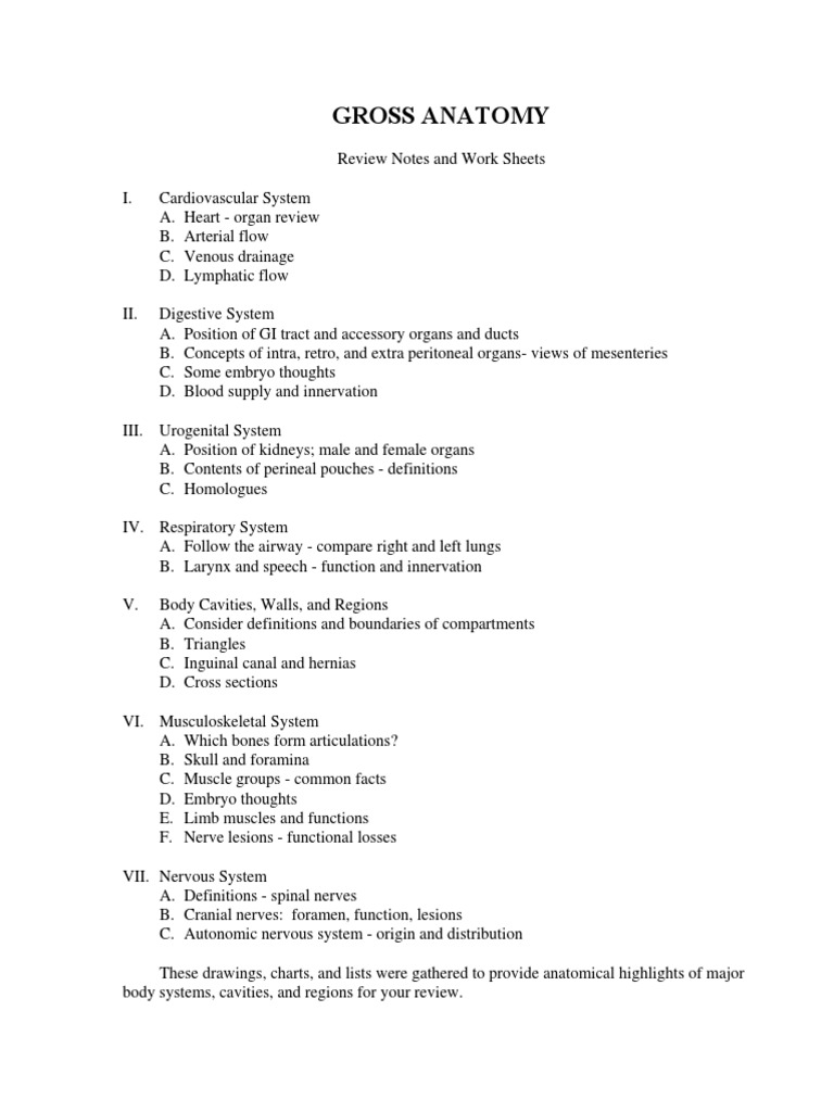 GROSS ANATOMY-Review Notes PDF | PDF | Common Carotid Artery ...