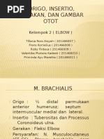 Origo dan Insersio Otot Manusia | PDF