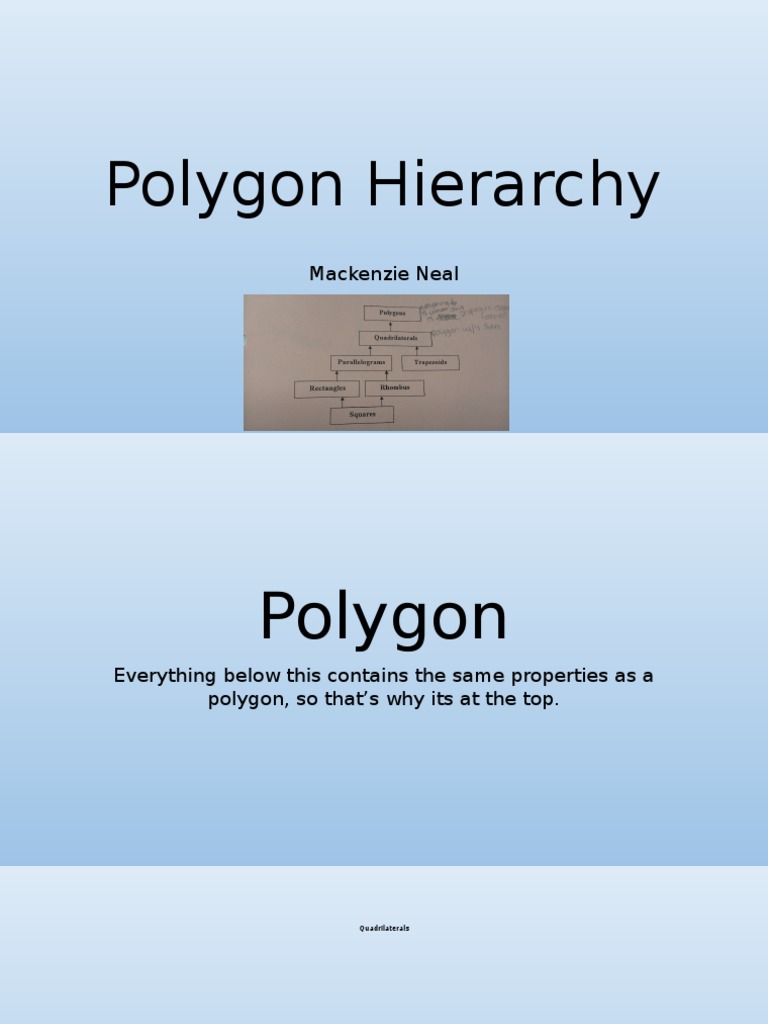 Understanding Polygon Hierarchy | PDF