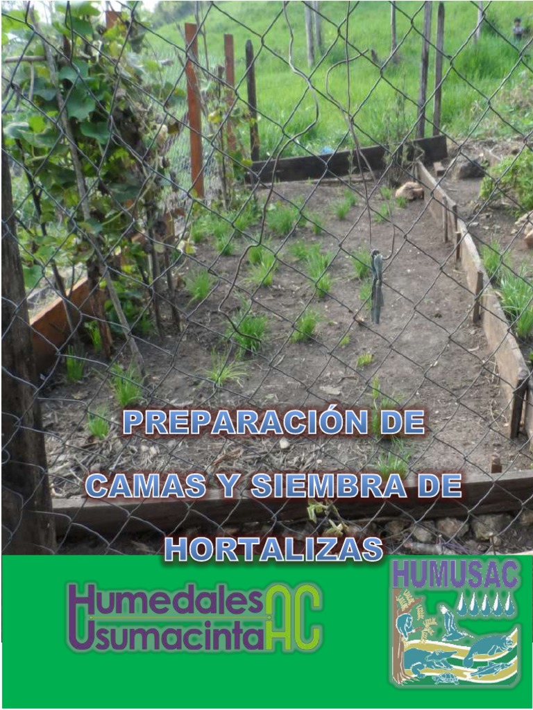 Preparacion y Siembra de Hortalizas | PDF | Tecnología