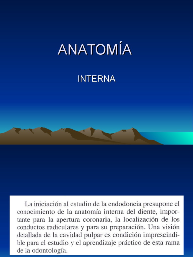 Anatomía Interna 1 | PDF | Diente humano | Raíz