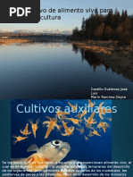 Anatomía y Fisiología de Los Peces Teleósteos | PDF | Vena | Pescado