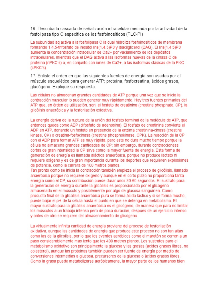 Bioca | PDF | Glucógeno | Epinefrina