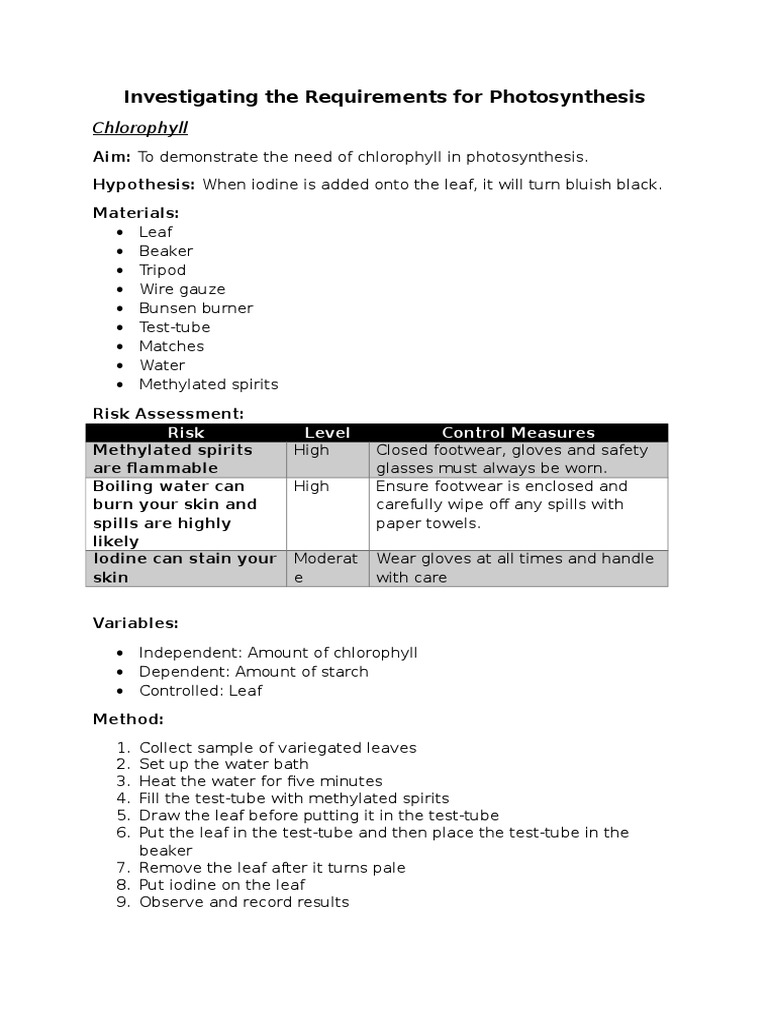 Requirements for Photosynthesis | Experiment | Photosynthesis