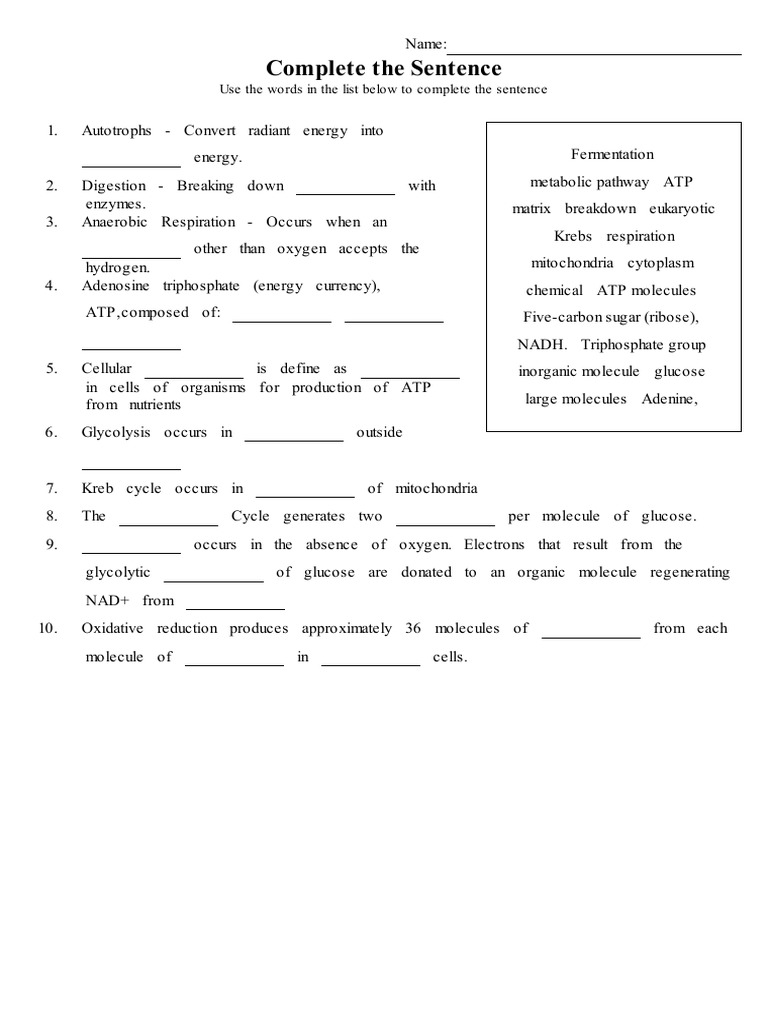c5 - Cellular Respiration - Fill in The Blank | PDF