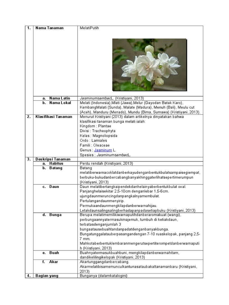 Klasifikasi Bunga Melati | PDF | Sains & Matematika