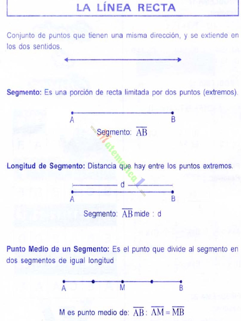 Segmentos y Líneas en Geometría | PDF | Geometría triangular | Euclides