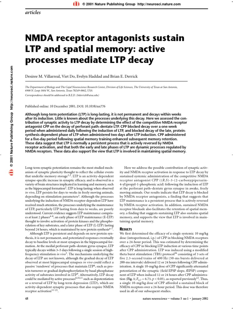 NMDA Receptor Antagonists Sustain LTP and Spatial Memory - Active ...