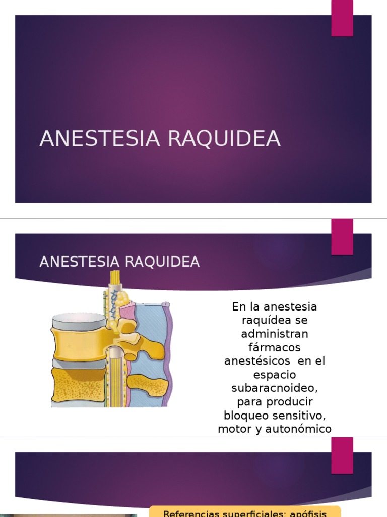 Anestesia Raquidea Final | PDF | Fluido cerebroespinal | Médula espinal