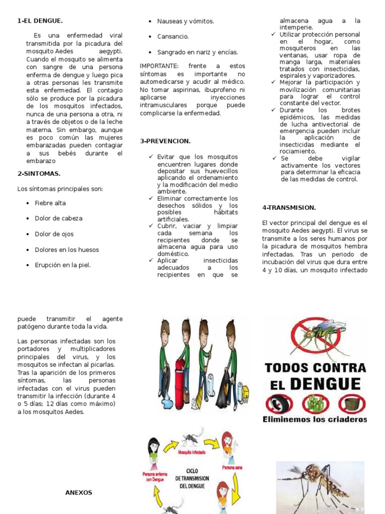 Triptico Del Dengue | Salud pública | Microbiología