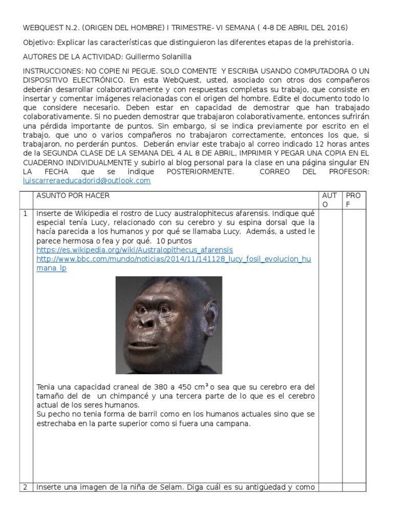 Webquest n.2 Origen Del Hombre | PDF | neanderthal | Homo Sapiens