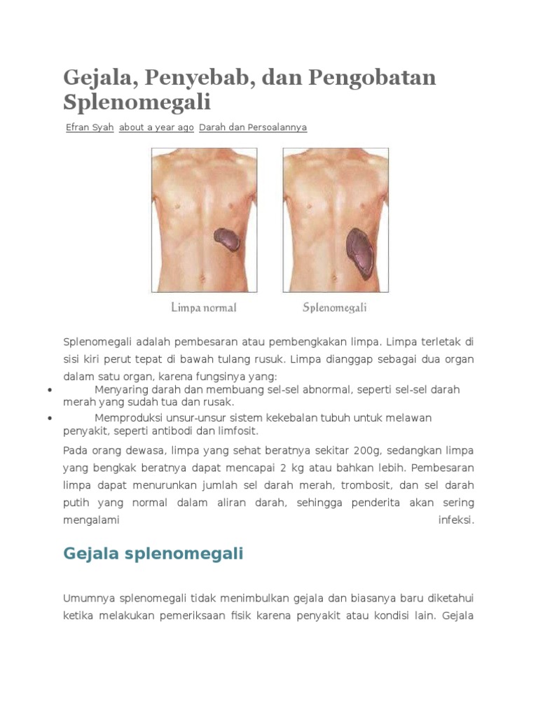 Splenomegali Dan Pengobatannya | PDF