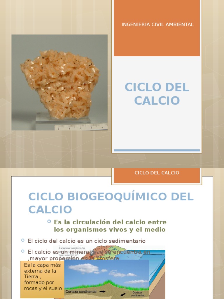 Ciclo Biogeoquímico Del Calcio | PDF | Calcio | Suelo