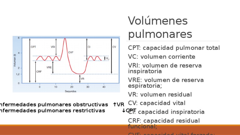 Volúmenes Pulmonares | PDF | Ciencia y matemática