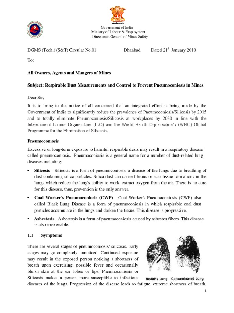 Dgms Tech ST Circular No 01 of 2010 Respirable Dust | PDF | Dust | Wellness