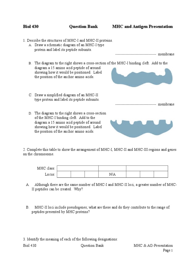 Biol 430 Question Bank MHC and Antigen Presentation | PDF | Mhc Class I ...