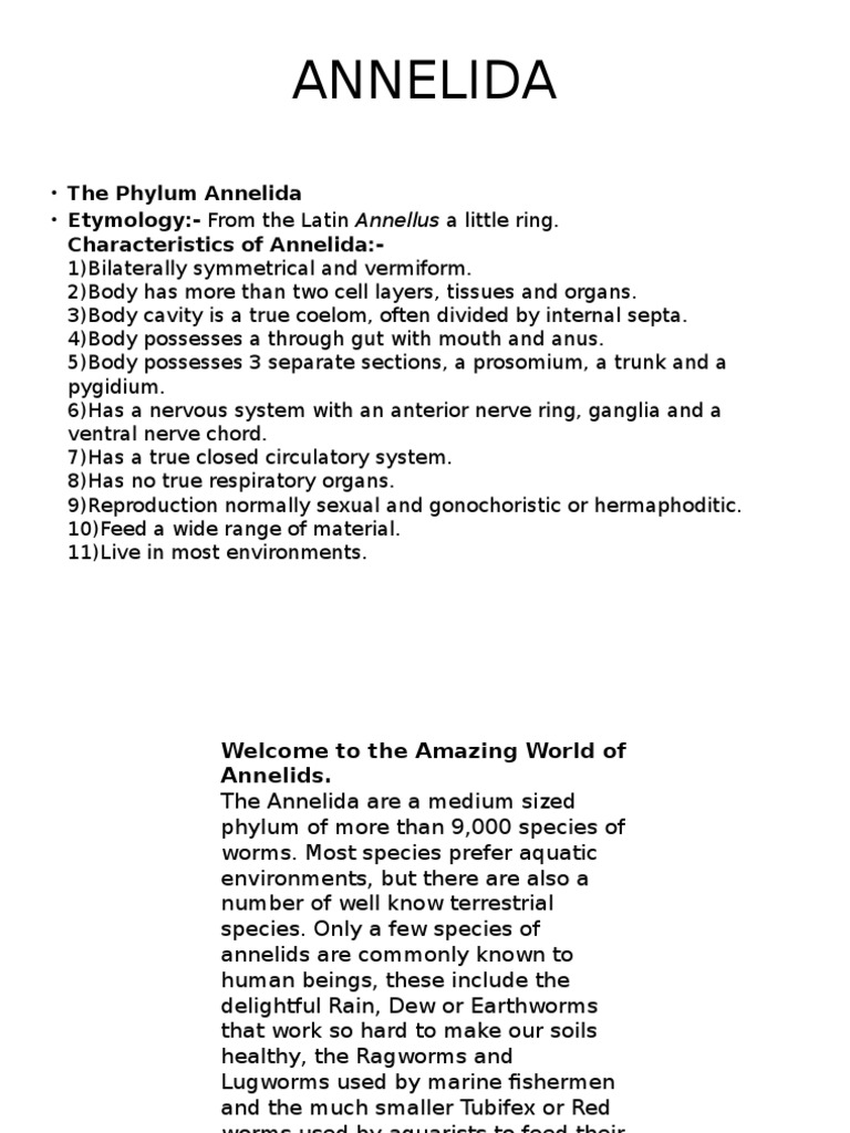 Anne Lida | PDF | Protostomes | Zoology