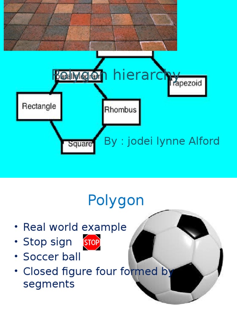Polygon Hierarchy | PDF