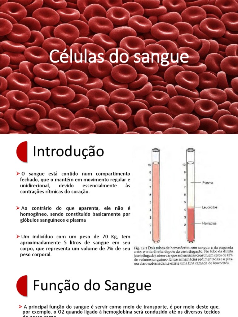 Células do Sangue.pdf | Glóbulo Branco | Plaquetas Sanguíneas