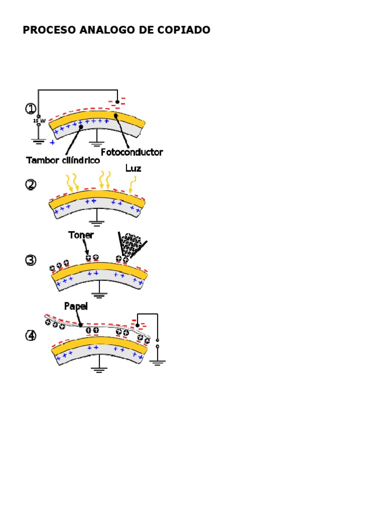 Procesos de Copiado | PDF
