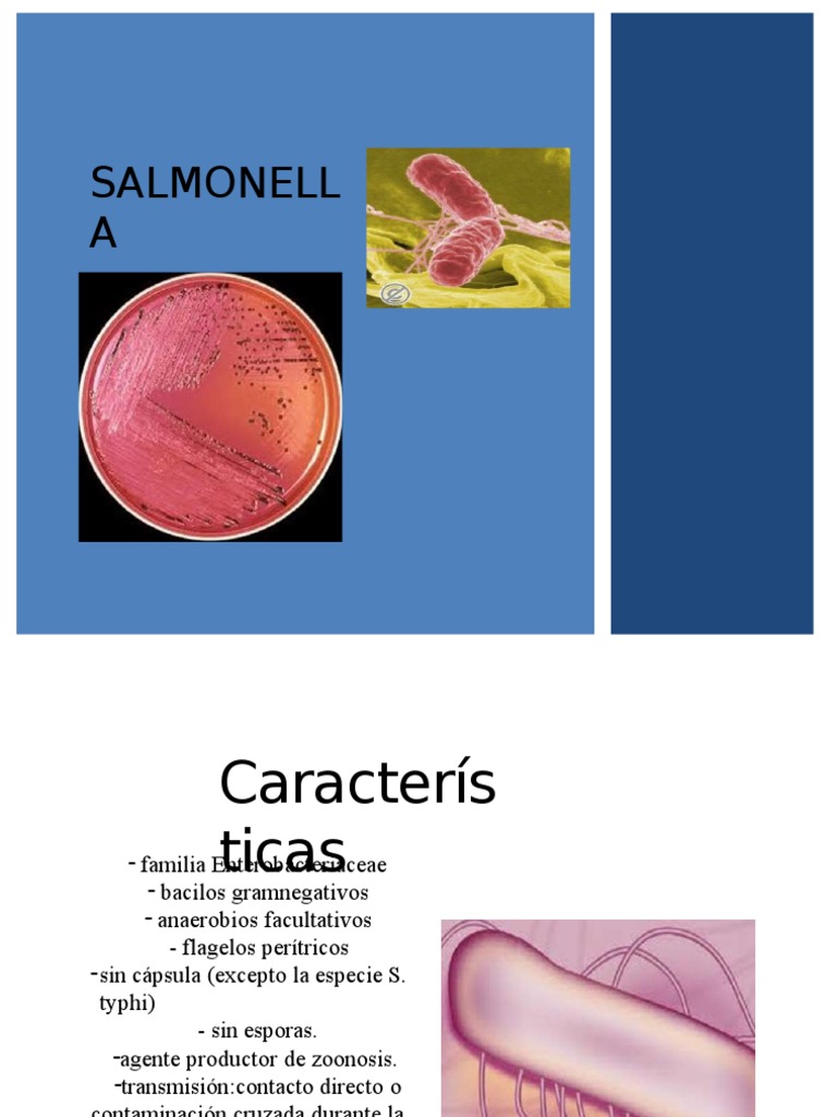 Salmonella | Salmonela | Microbiología