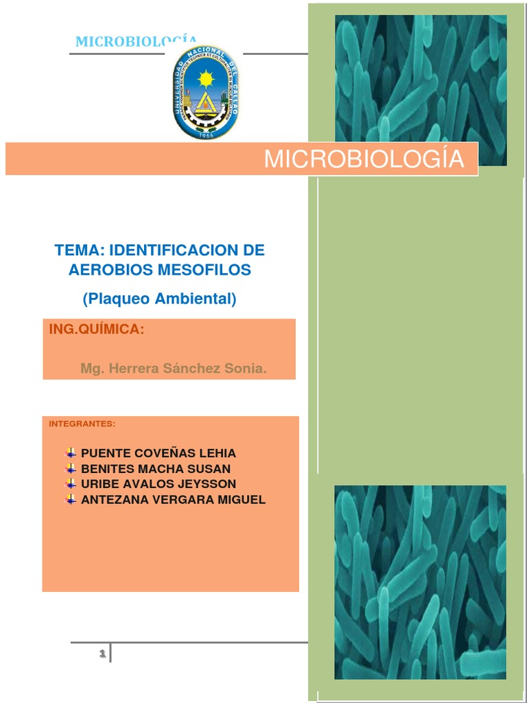 Aerobios Mesofilos | Microorganismo | Bacterias