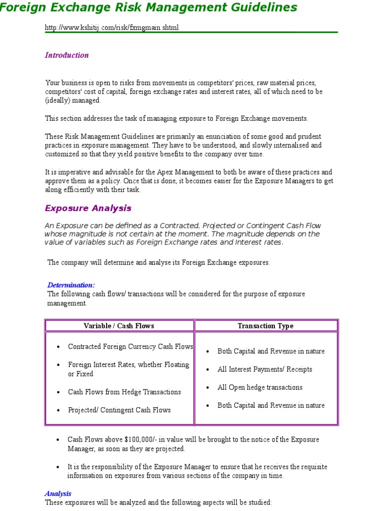 Foreign Exchange Risk Management Guidelines | PDF