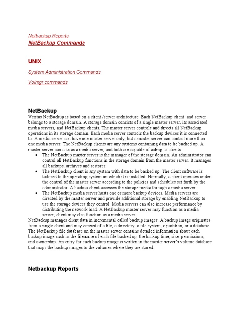 Netbackup Reports Pdf Backup Server Computing 