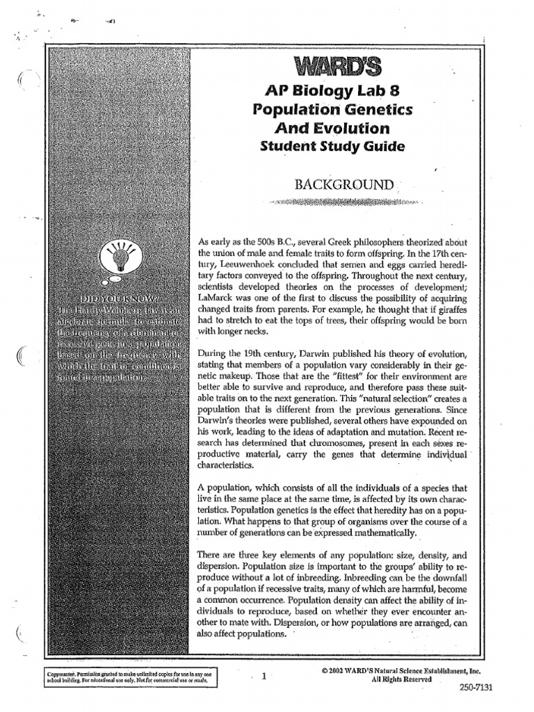 Ap Population Genetics Lab 2 1 | PDF