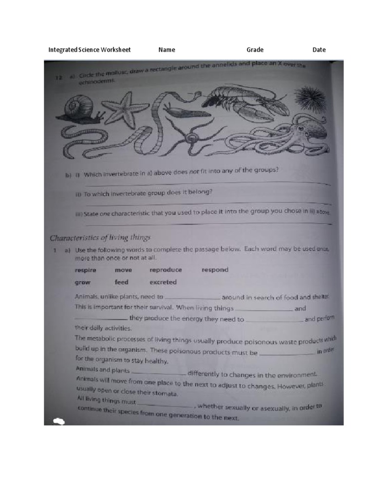 Grade 7 Integrated Science Worksheet | PDF