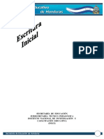 Observaciones Escritura | PDF | Caligrafía | Escritura