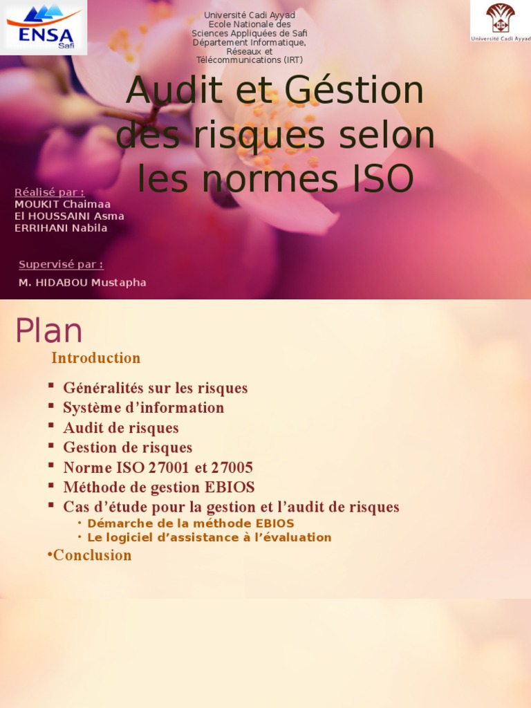 Audit Et Gestion Des Risques Selon Norme Iso | PDF | Sécurité des systèmes d'information | Sécurité