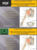 Guia 1 FNP Diagonales MMSS PDF | PDF | Mano | Codo
