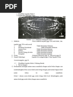 Klasifikasi Fraktur Dari Ellis Dan Dewey | PDF | Kesehatan Holistik | Sains & Matematika