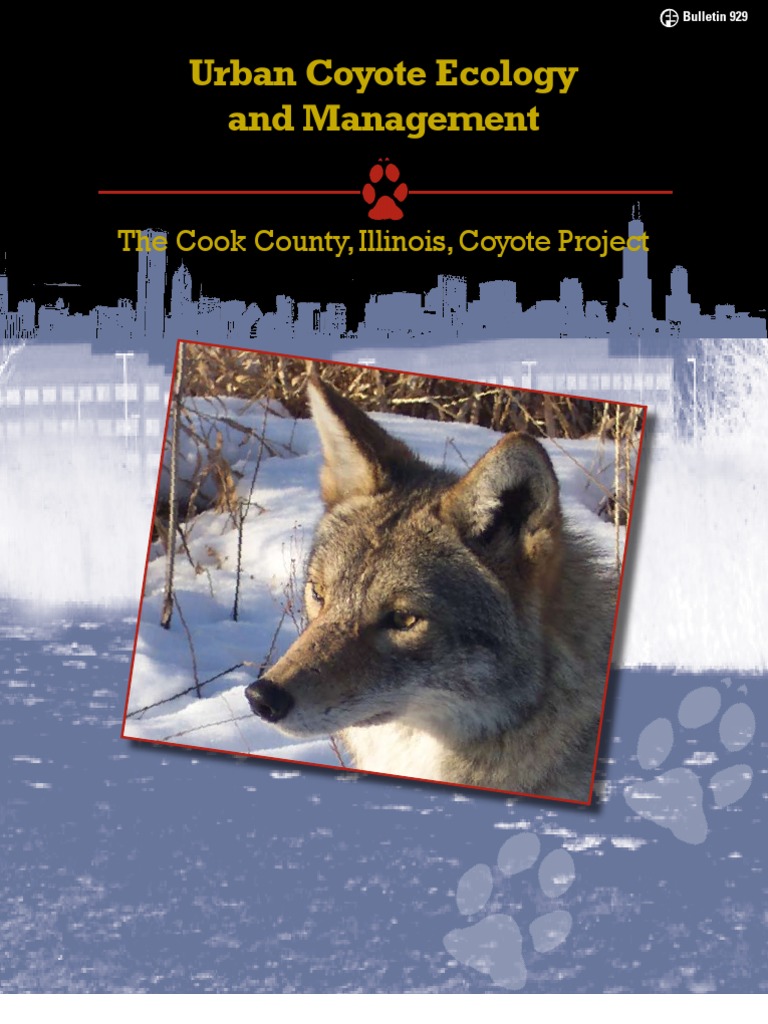 Urban Coyote Ecology - Cook County Coyote Project | PDF | Coyote ...