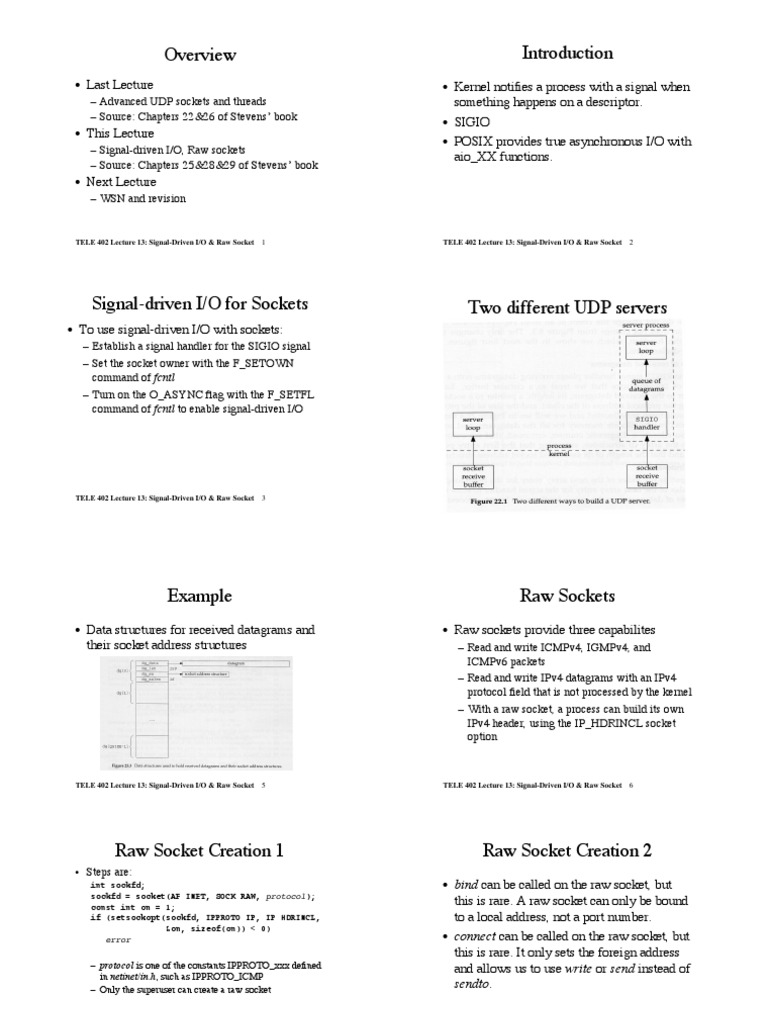 Raw Socket | Download Free PDF | Network Socket | Internet Protocols