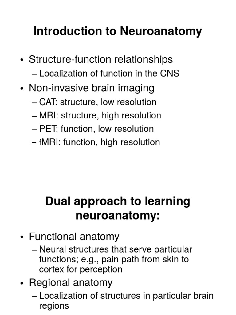 Introduction To Neuroanatomy: - Structure-Function Relationships - Non ...