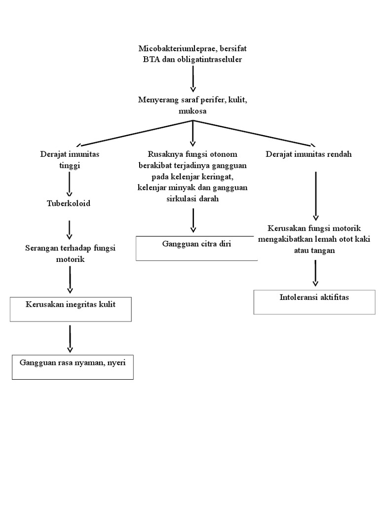 Pathway Integumen | PDF