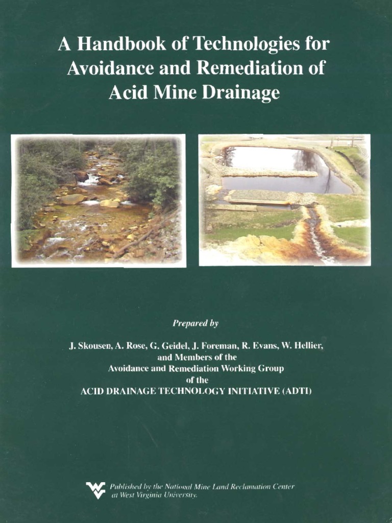 DAM Tratamentos | PDF