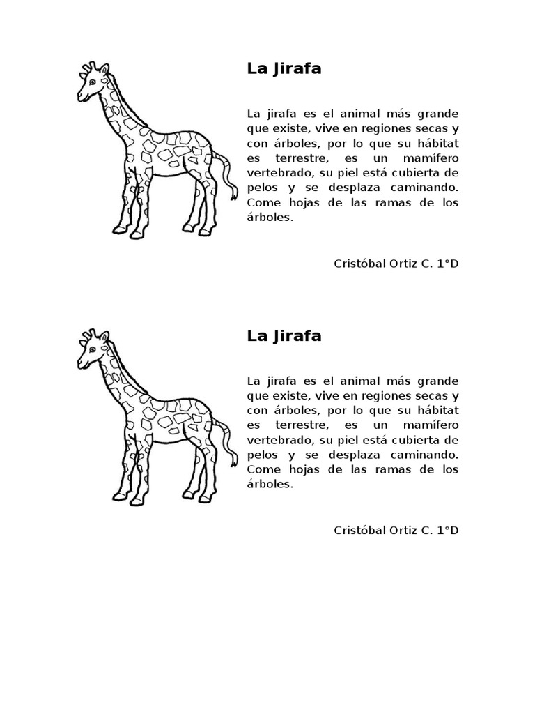 La Jirafa Disertacion | PDF