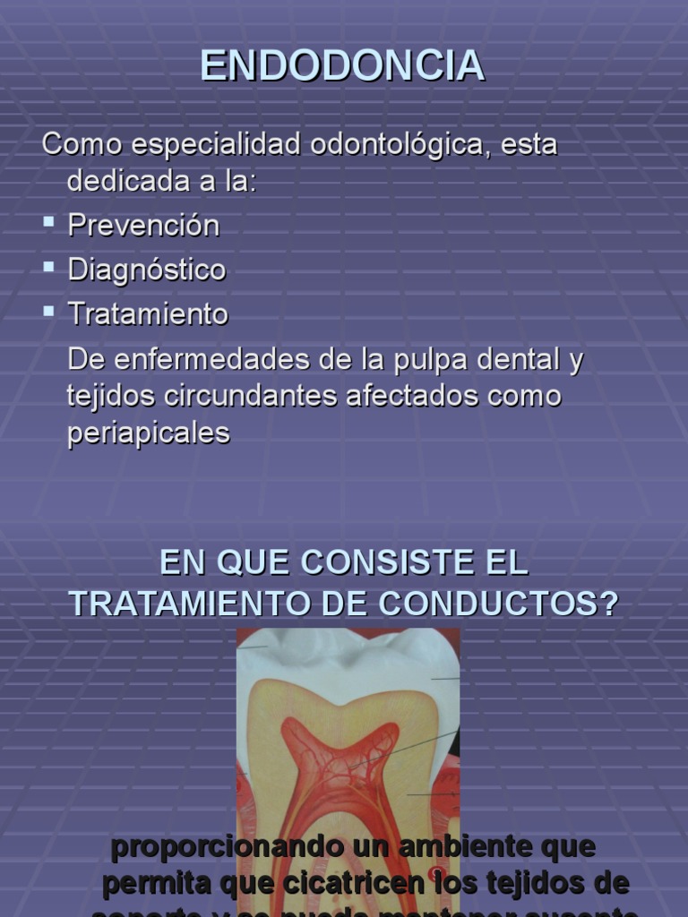 Endodoncia y Pulpa Dental | PDF | Diente humano | Dolor