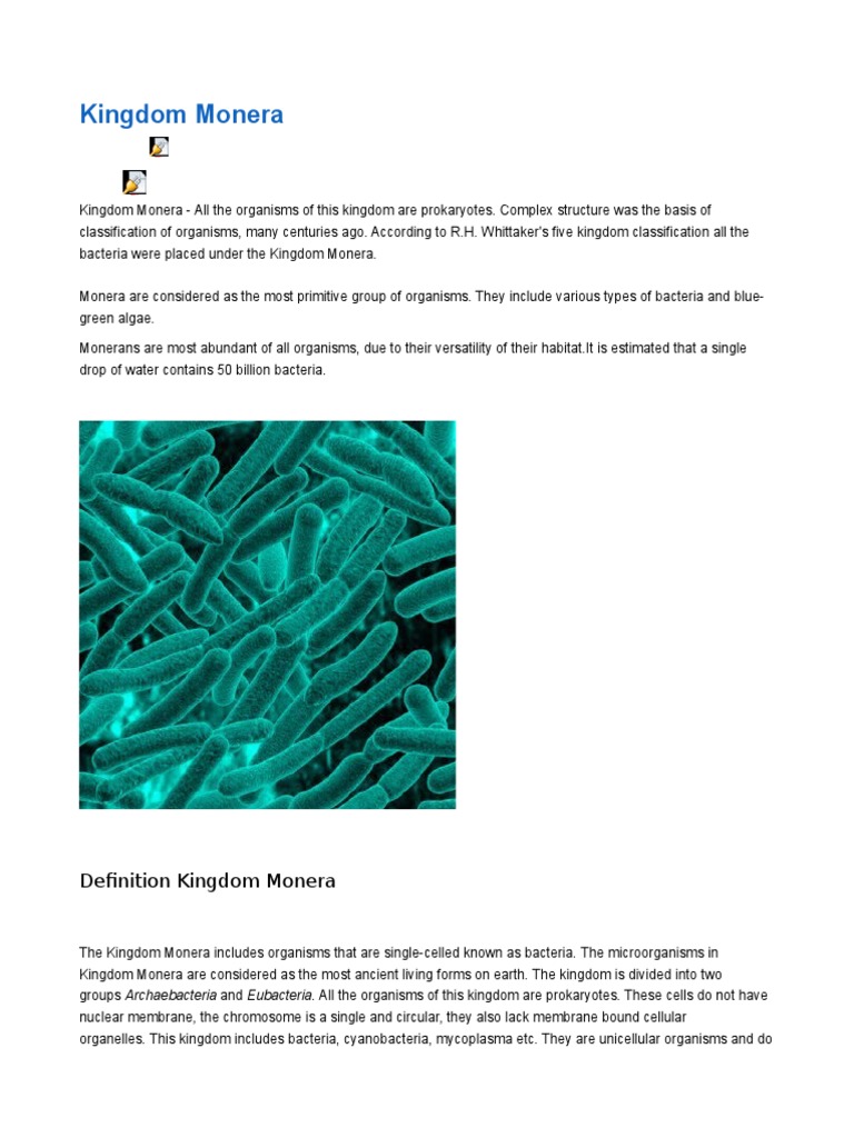 Monera Kingdom | Bacteria | Organisms