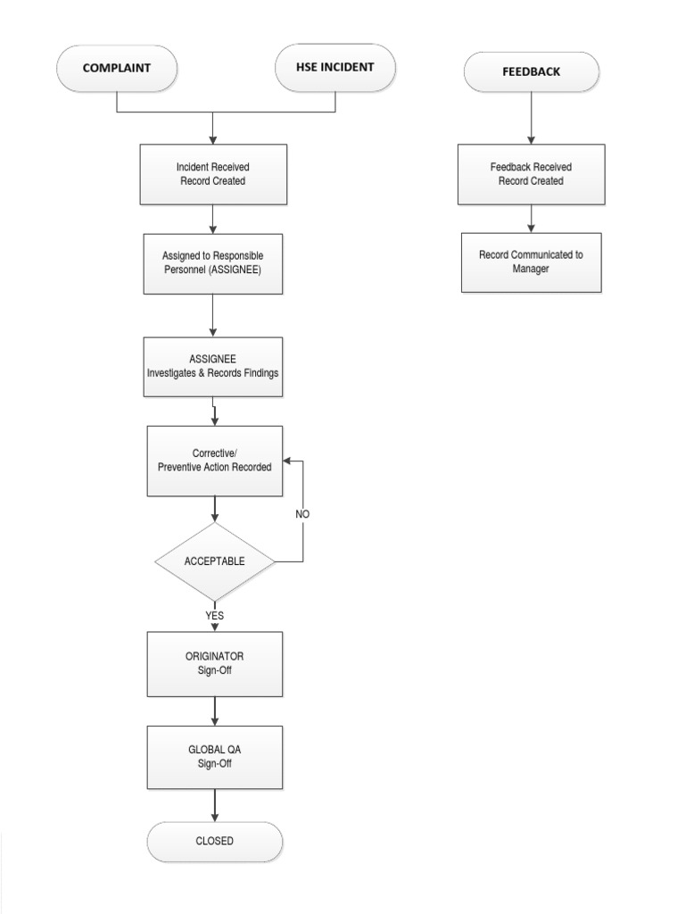 Miiwa Process Flow | PDF