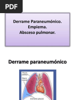 Escala de Rotterdam | PDF