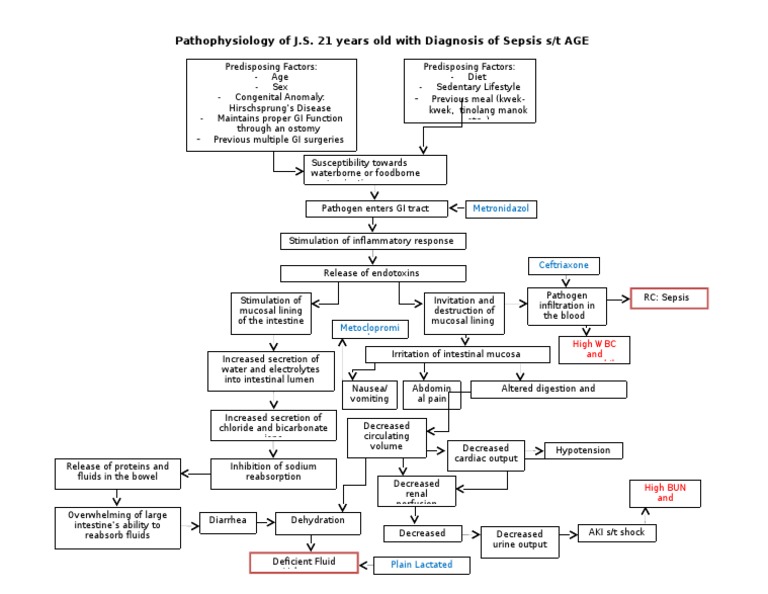 Pathophysiology of Sepsis in a 21-Year Old Male with Hirschsprung's ...